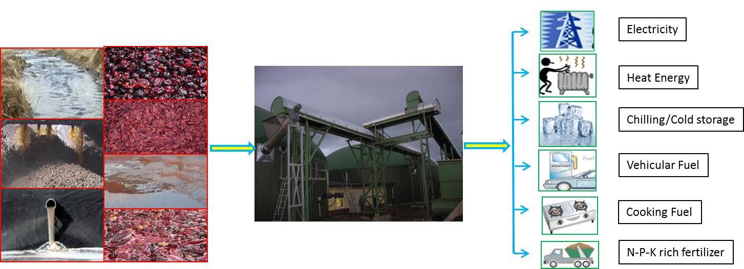 Biomethanation Plants for Distilleries | TESPL